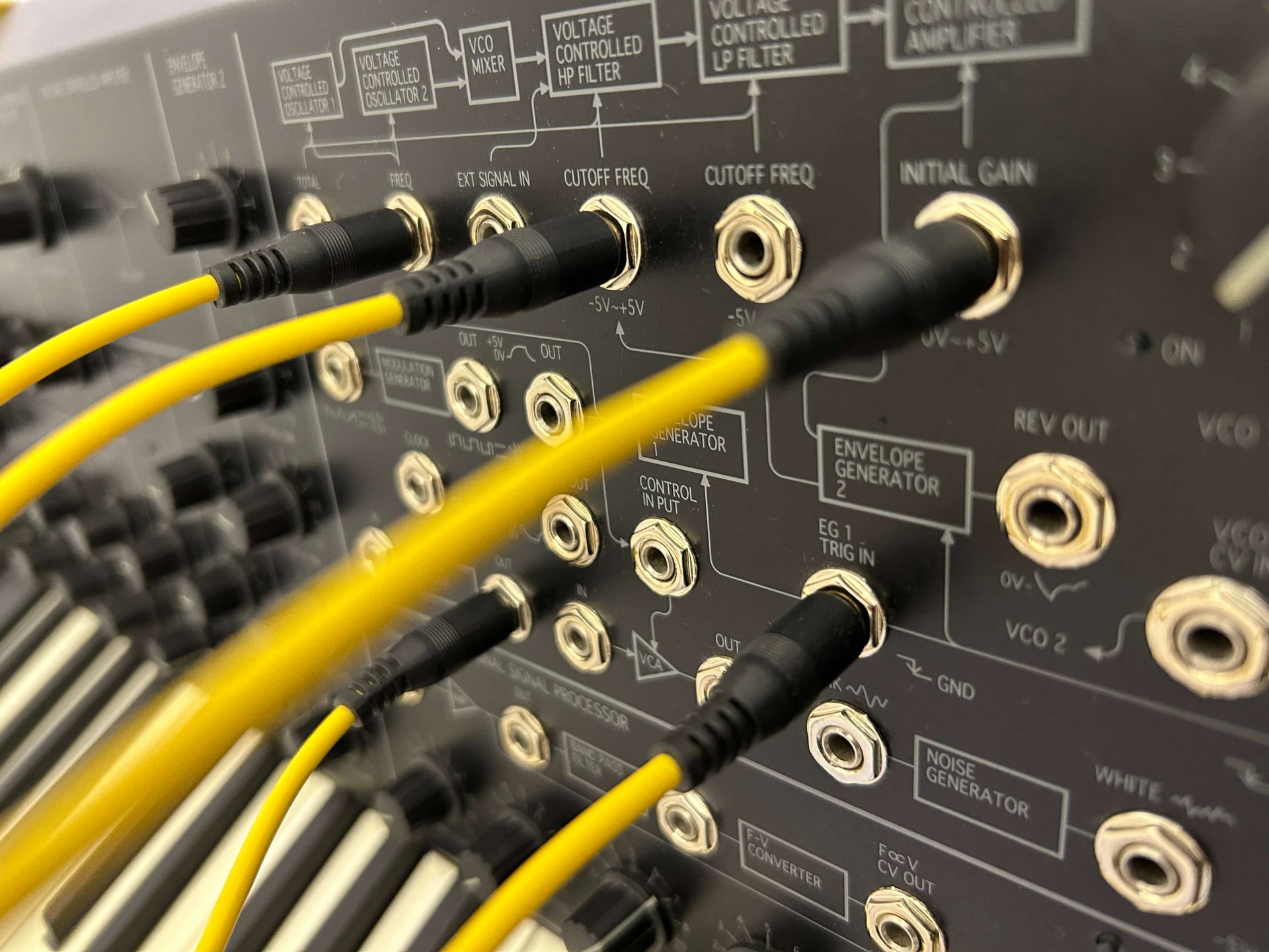 Premium Kicks | Kick Drum Samples – Mojulate